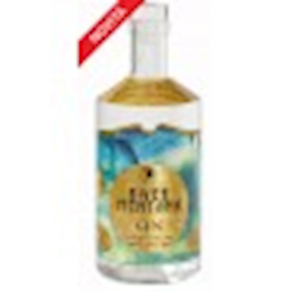 GIN RIVER MENTANA 42% CL. 70 - Antica Enoteca Giulianelli, Vini e ...