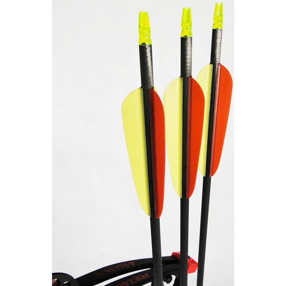 Arco Compound 70 libbre Assassin Professionale con mirino Archi ...