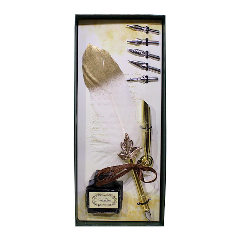 PIUMA STILOGRAFICA CON CALAMAIO, PORTA PENNA DORATO E PENNINI ASSORTITI ...